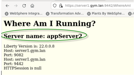 1157 - Recommended practices for WebSphere Liberty deployments and zero ...