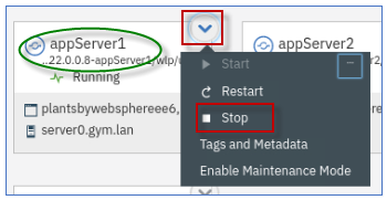 1157 - Recommended practices for WebSphere Liberty deployments and zero ...