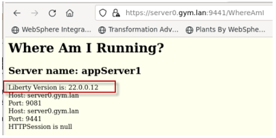 1157 - Recommended practices for WebSphere Liberty deployments and zero ...