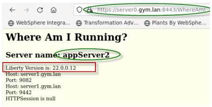 1157 - Recommended practices for WebSphere Liberty deployments and zero ...
